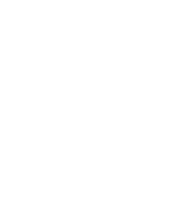 Salesforce Development Services - Synebo